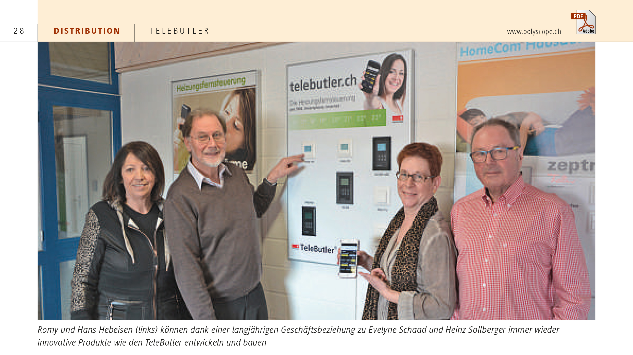 PR-Bericht LCD-Modul | Swissdis AG